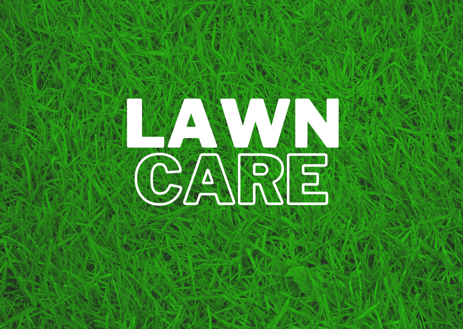 Application Library • Engine Awesome